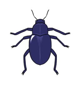 Insect life cycles KS2 | Y5 Science Lesson Resources | Oak National Academy