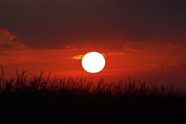 Protecting our eyes from the Sun: plan KS2 | Y3 Science Lesson ...