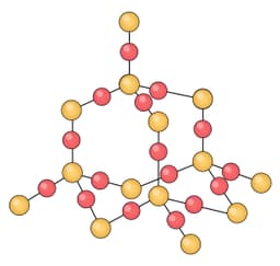 Classification at the cellular level KS3 | Y8 Science Lesson Resources ...