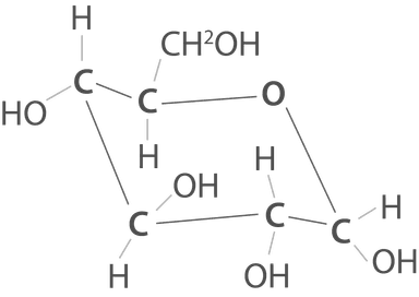 Aerobic cellular respiration in humans and other organisms Foundation ...