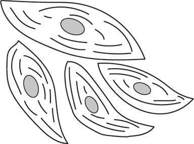 Muscles KS3 | Y7 Science Lesson Resources | Oak National Academy