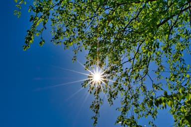 Day length in summer KS1 | Y1 Science Lesson Resources | Oak National ...