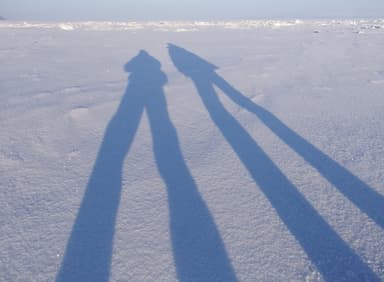 Why the Sun appears to move across the sky KS2 | Y5 Science Lesson ...