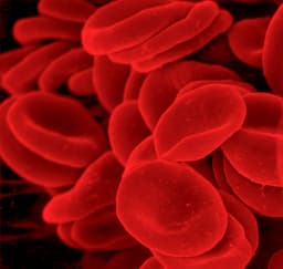 Non-specific defences of the human body against pathogens Foundation ...