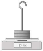 Stretching springs KS3 | Y9 Science Lesson Resources | Oak National Academy