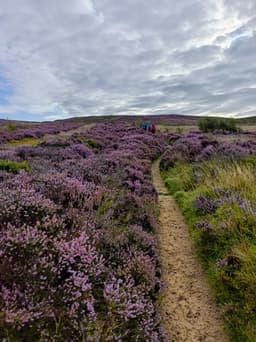 Using grid references to identify land use KS2 | Y3 Geography Lesson ...