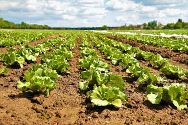 Different types of land use in the UK KS2 | Y3 Geography Lesson ...