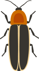 Animals without bones KS2 | Y3 Science Lesson Resources | Oak National ...