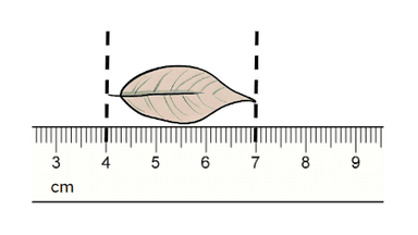 Measuring length and height using cm and mm KS2 | Y3 Maths Lesson ...