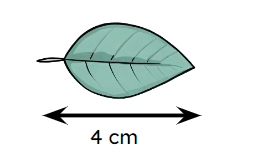 Converting between centimetres and millimetres KS2 | Y3 Maths Lesson ...