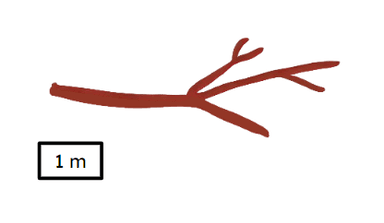 Solve problems involving length KS2 | Y3 Maths Lesson Resources | Oak ...