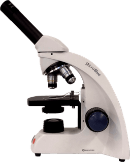 Lesson: The size and scale of cells: the basics | Oak National Academy
