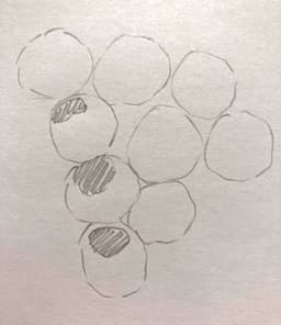 Preparing and observing a microscope slide KS3 | Y7 Science Lesson ...