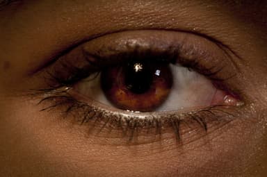 How shadows form KS2 | Y6 Science Lesson Resources | Oak National Academy