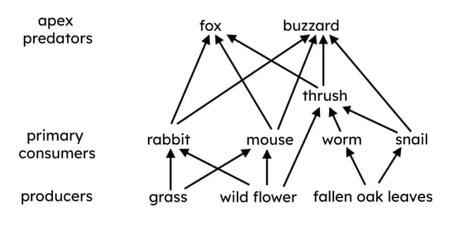 Changes in small-scale ecosystems AQA KS4 | Y10 Geography Lesson ...