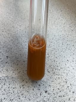 Lesson: Tests for biological molecules | Oak National Academy