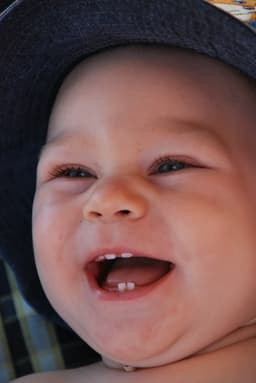 Types of teeth KS2 | Y4 Science Lesson Resources | Oak National Academy