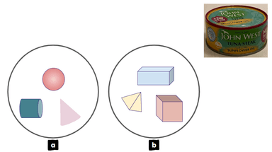Recognise, describe and sort 3D shapes KS1 | Y1 Maths Lesson Resources ...