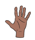 Explain that numbers can represent how many objects there are in a set ...