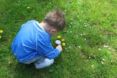 The appearance of rocks KS2 | Y3 Science Lesson Resources | Oak ...