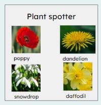 Wildflowers KS1 | Y1 Science Lesson Resources | Oak National Academy