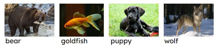 Naming mammals KS1 | Y1 Science Lesson Resources | Oak National Academy