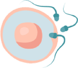 Using hormones to treat infertility Higher AQA KS4 | Y11 Biology Lesson ...