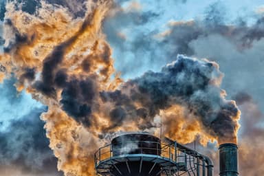 Plants are adapted for their environment KS3 | Y8 Science Lesson ...