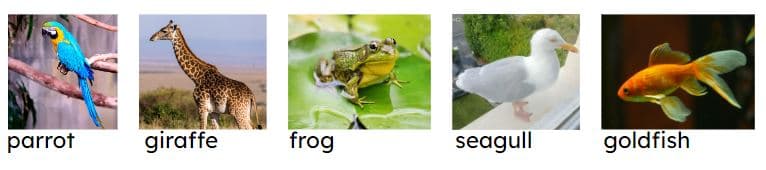 Living or non-living KS1 | Y2 Science Lesson Resources | Oak National ...