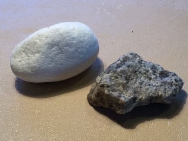 Introducing observable characteristics KS2 | Y4 Science Lesson ...