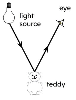 Lesson: Reflected light | KS2 Science | Oak National Academy