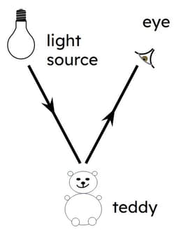 Lesson: Reflected light | KS2 Science | Oak National Academy