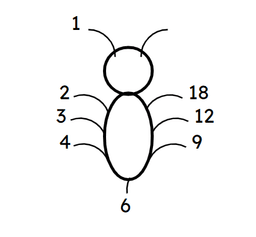 Lesson: Use a complete list of factors to explain when a number is a ...