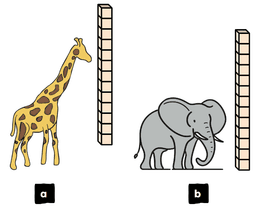 Measure length using a ruler KS1 | Y1 Maths Lesson Resources | Oak ...