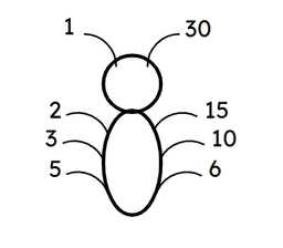 Explain how to identify a prime factor of a number KS2 | Y5 Maths ...