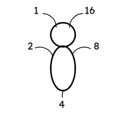 Explain how to identify a prime factor of a number KS2 | Y5 Maths ...