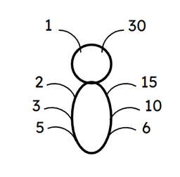 Explain how to identify a prime factor of a number KS2 | Y5 Maths ...