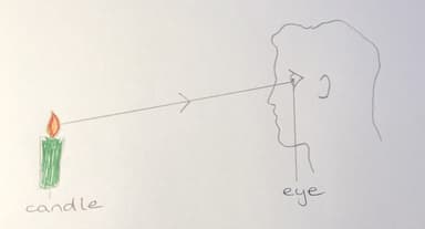 Lesson: Light enters our eyes | KS2 Science | Oak National Academy