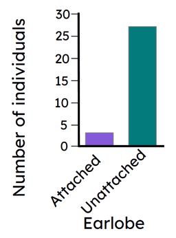 Discontinuous variation: data handling and analysis KS3 | Y8 Science ...