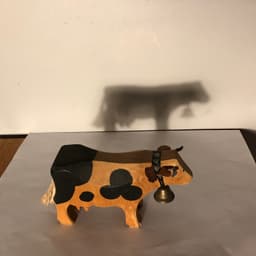 Shadow shapes investigation KS2 | Y6 Science Lesson Resources | Oak ...