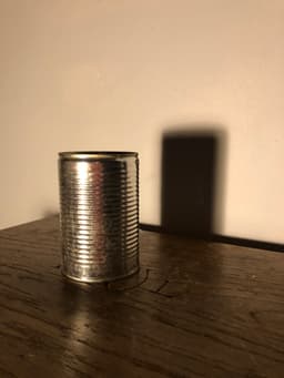 Shadow size: do KS2 | Y3 Science Lesson Resources | Oak National Academy