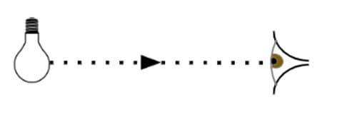 Shadow shapes investigation KS2 | Y6 Science Lesson Resources | Oak ...