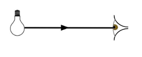 Shadow shapes investigation KS2 | Y6 Science Lesson Resources | Oak ...