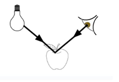 Shadow shapes investigation KS2 | Y6 Science Lesson Resources | Oak ...