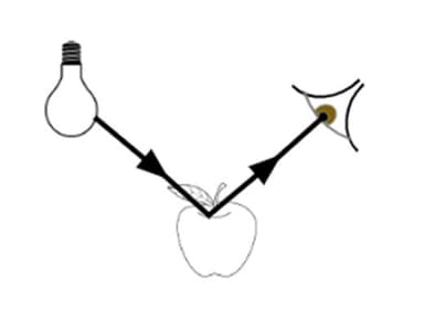 Shadow shapes investigation KS2 | Y6 Science Lesson Resources | Oak ...