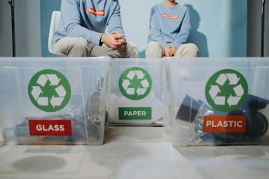 Lesson: Changing environments: reforestation and recycling | KS2 ...