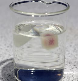Diffusion through a permeable material: practical KS3 | Y7 Science ...