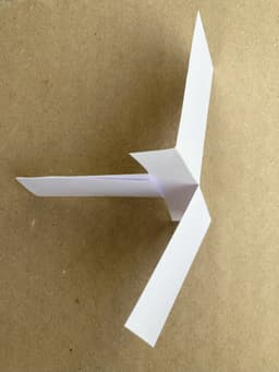 Seed dispersal: practical KS3 | Y9 Science Lesson Resources | Oak ...