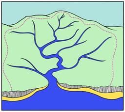 Introducing rivers KS2 | Y3 Geography Lesson Resources | Oak National ...
