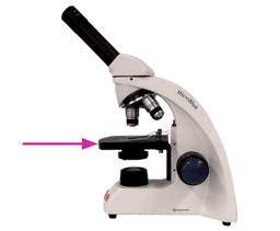 Light microscopy: observing and drawing cells Foundation AQA KS4 | Y10 ...
